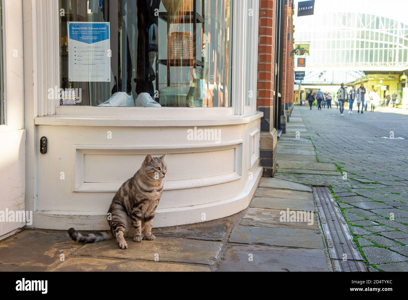 Monopoly board game uk version hi-res stock photography and images - Alamy