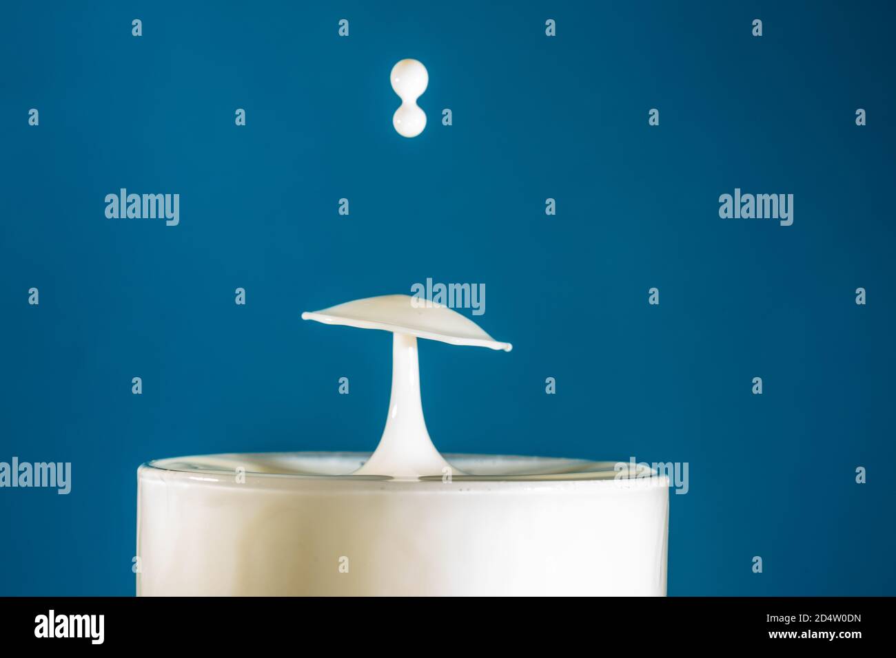 Two drops of milk fall into the long drink glass hitting each other ...