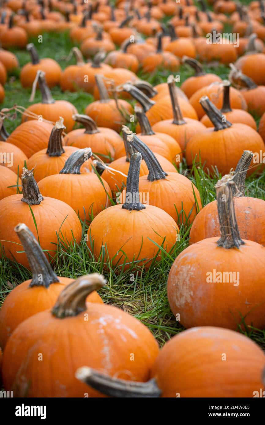 Seasonal backgrounds hi-res stock photography and images - Alamy