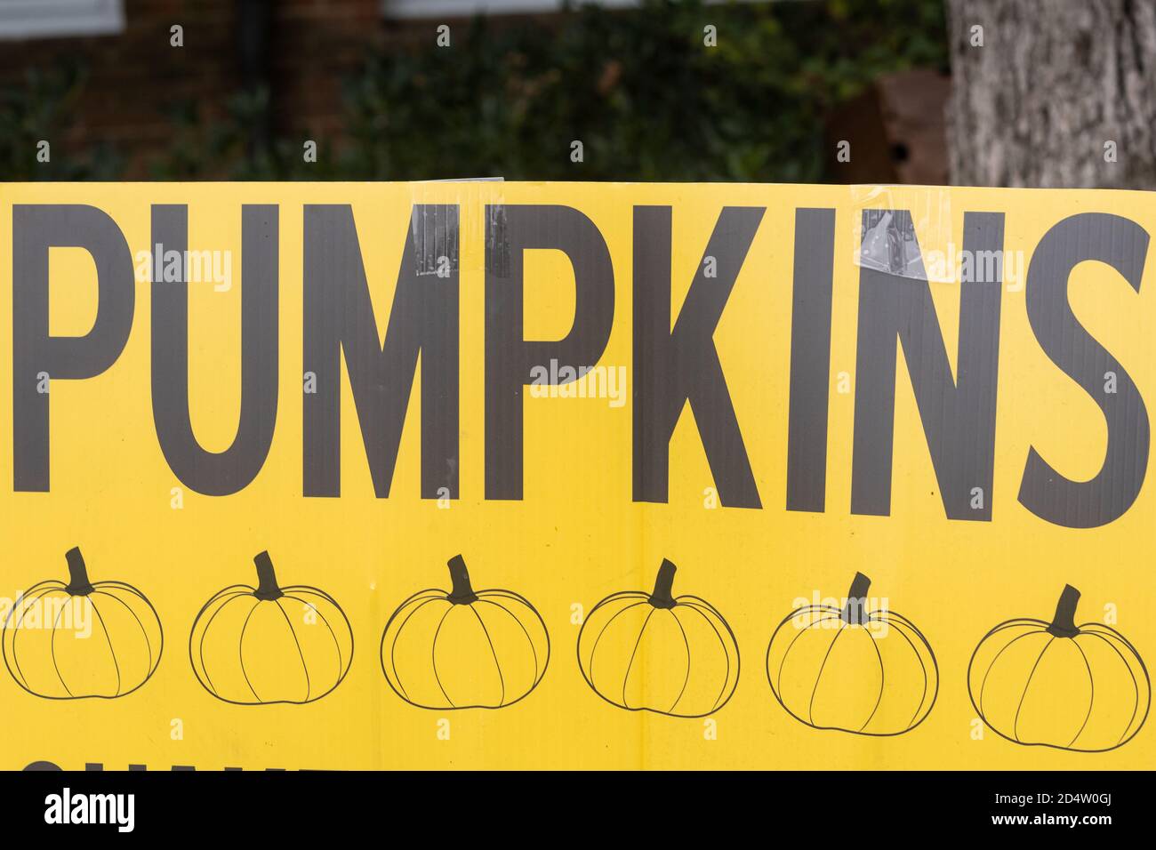 Pumpkin patch sign hi-res stock photography and images - Alamy