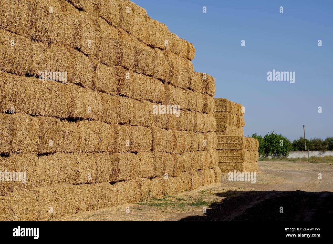 Realistic cows hi-res stock photography and images - Alamy