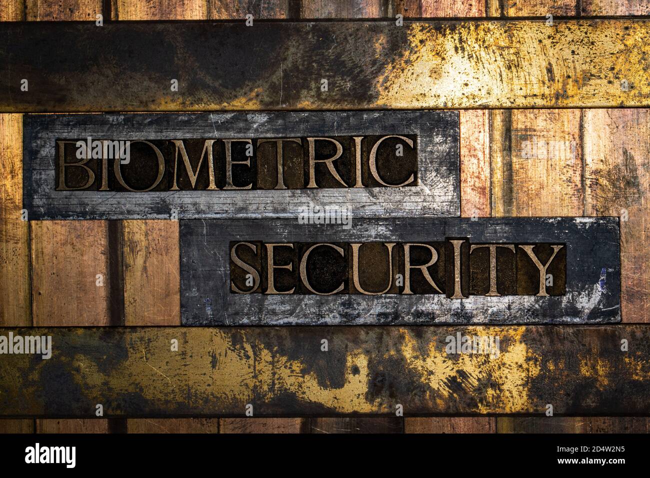 Biometric Security text message on textured grunge copper and vintage ...