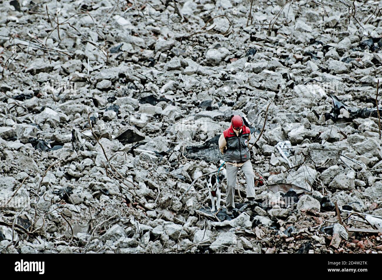 training of dog for search and rescue Stock Photo - Alamy