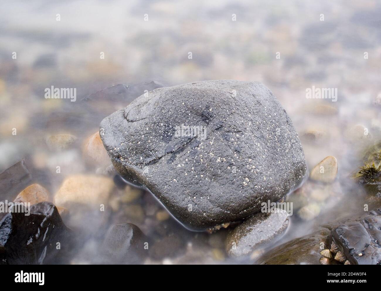 Water worn rock in the sea Stock Photo - Alamy