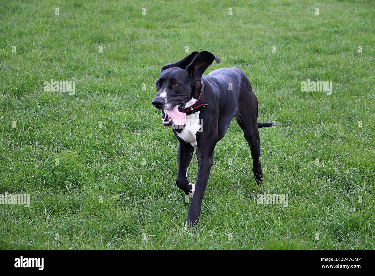 Task hunting hi-res stock photography and images - Alamy