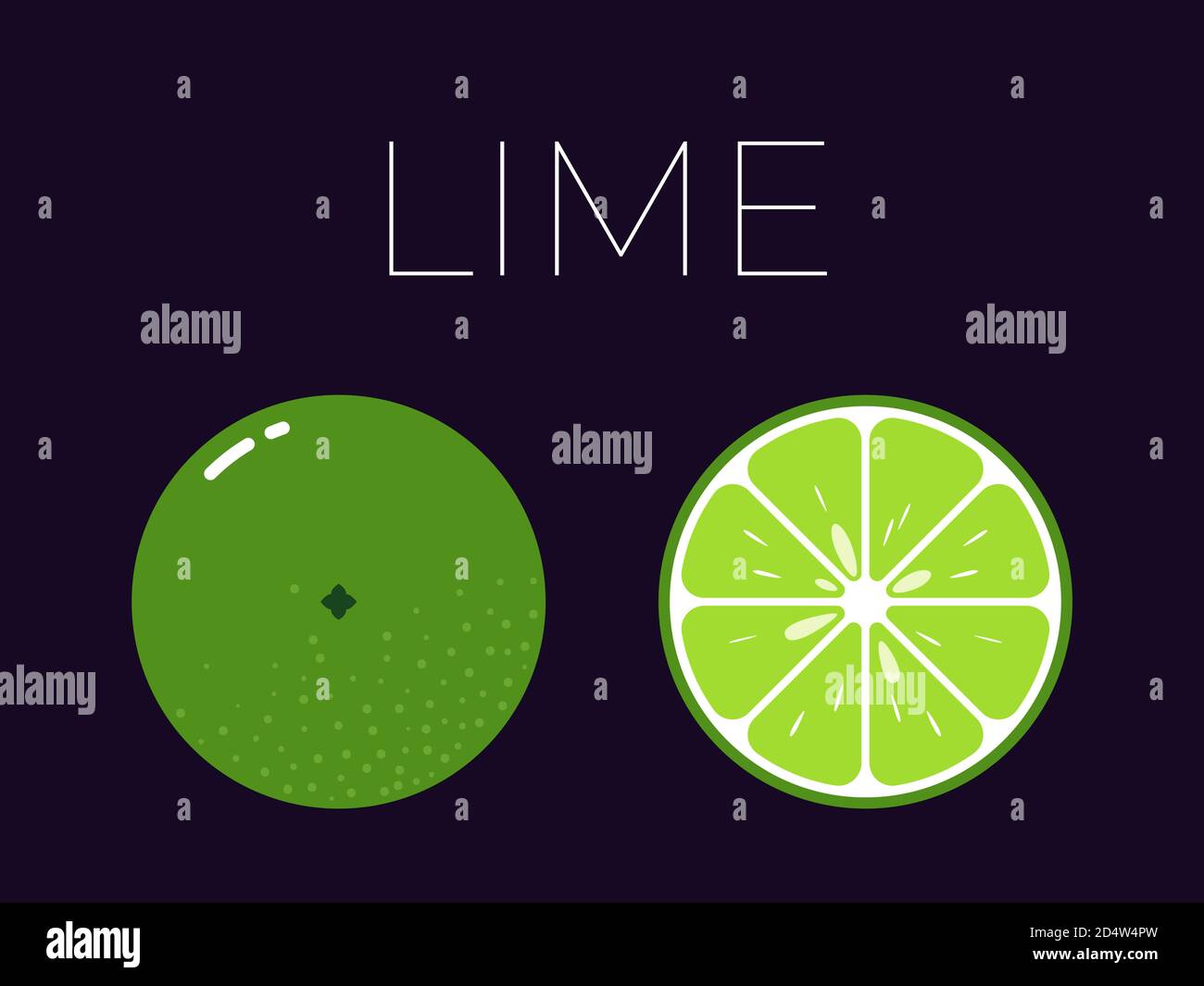 Vector of lime and sliced half of lime on dark background Stock Vector ...