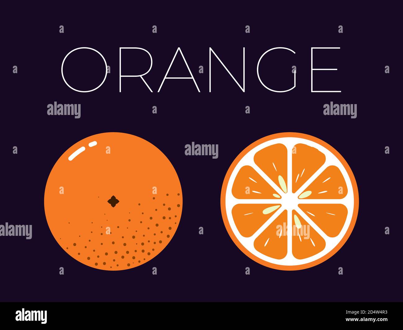 Vector of orange and sliced half of orange on dark background Stock ...