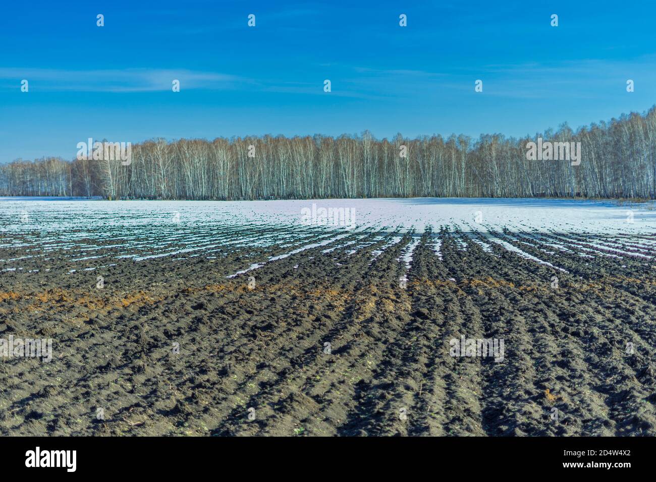 Boundless field hi-res stock photography and images - Alamy