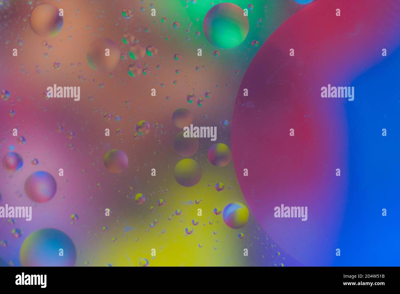 Colorful abstract background with oil circles. Water bubbles close-up ...