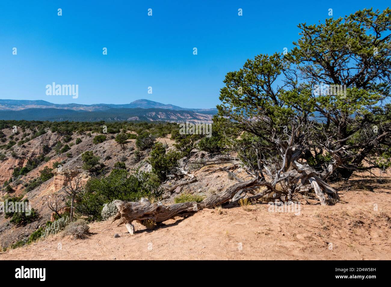 Capitol Reef National park in October Stock Photo - Alamy