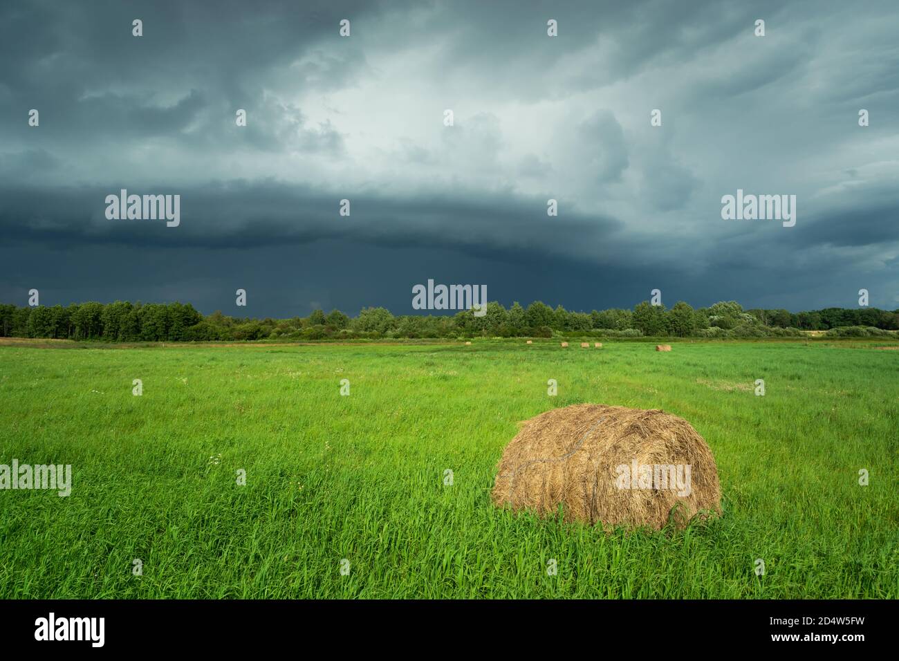 Dark cell hi-res stock photography and images - Alamy