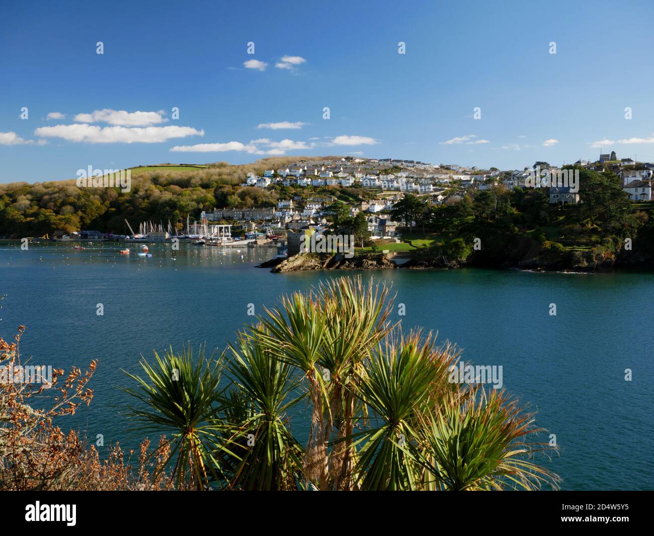 Autumn light at Polruan on the River Fowey, Cornwall Stock Photo - Alamy