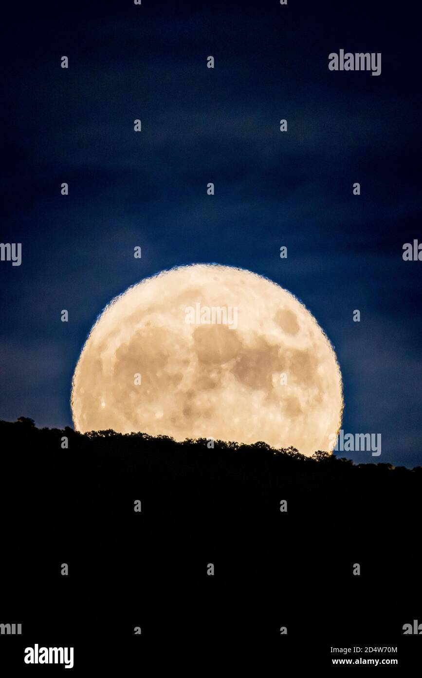 Full Moon; the Harvest Moon; rising over central Colorado; USA Stock ...