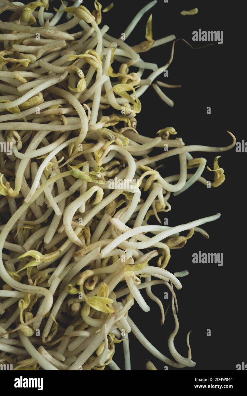 Soybean sprout hi-res stock photography and images - Alamy