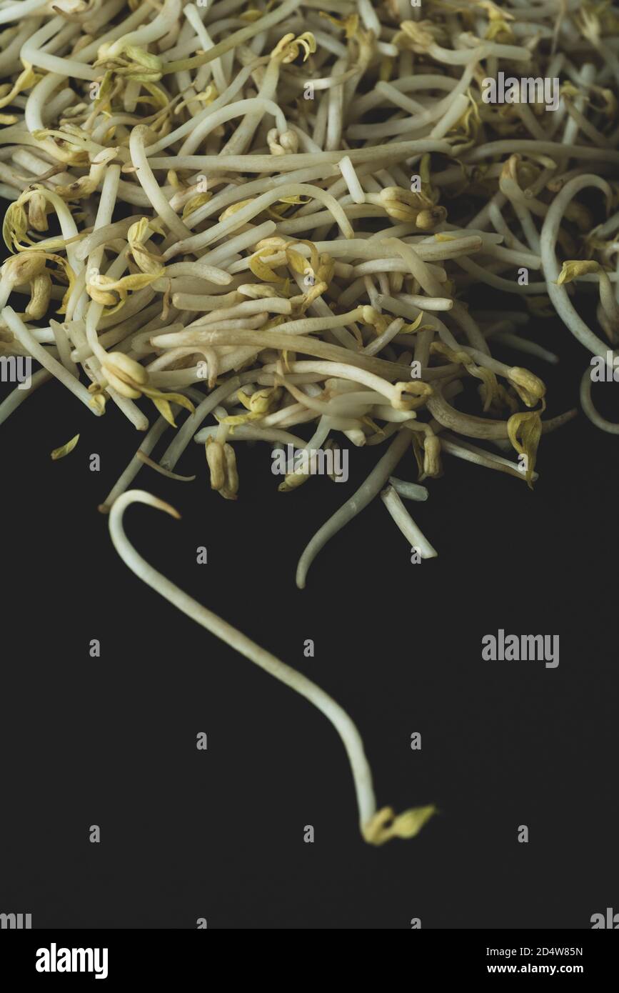 Soybean sprout hi-res stock photography and images - Alamy