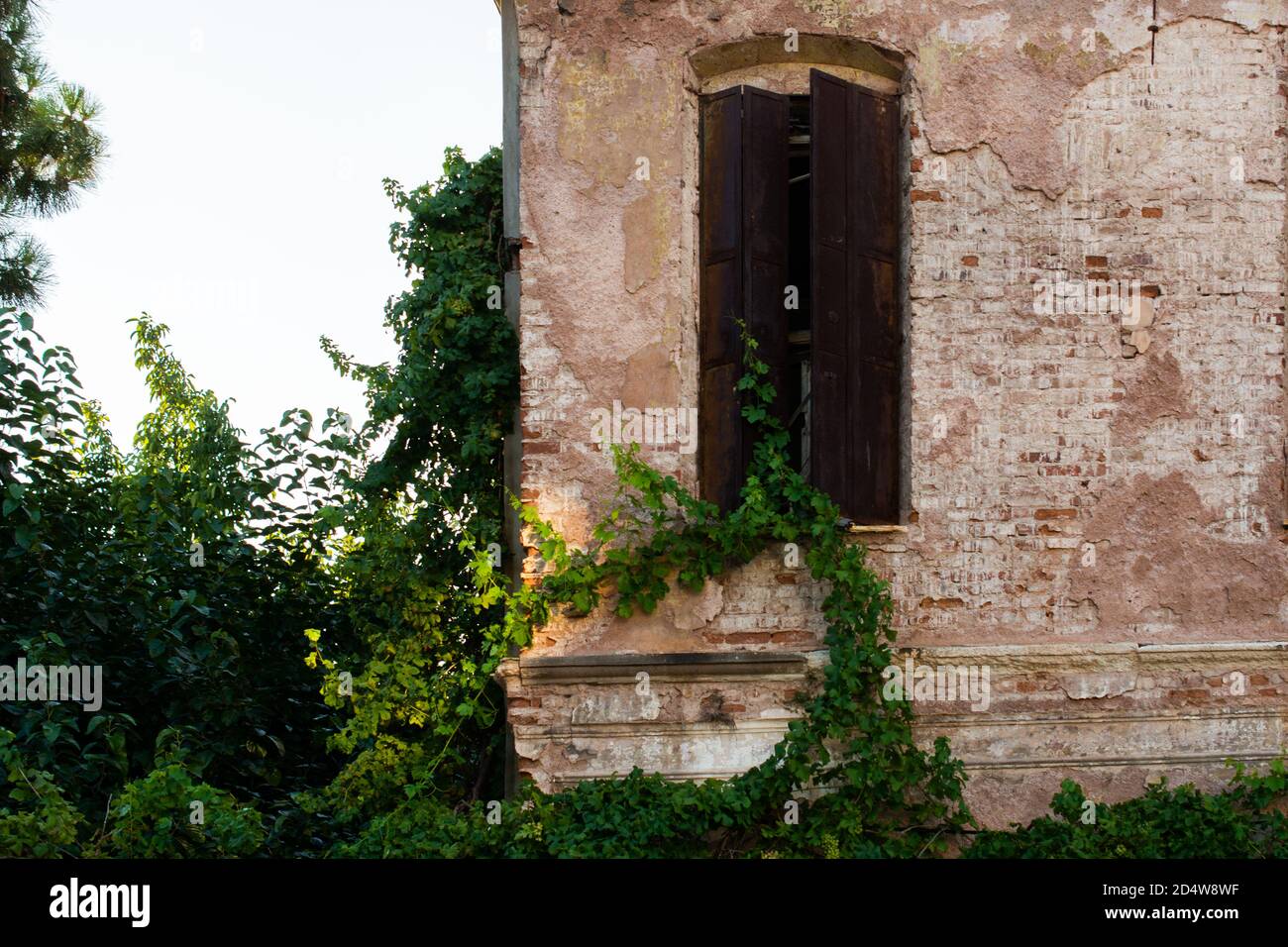 Old stone-made building with creeping plants growing over walls Stock ...