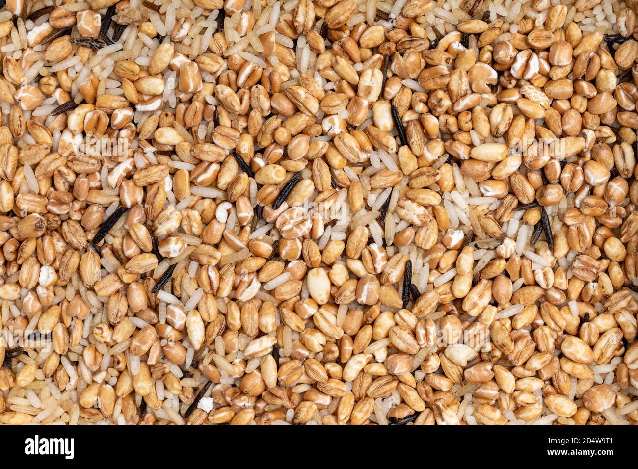 Top view full frame dry uncooked whole grain rice Stock Photo - Alamy
