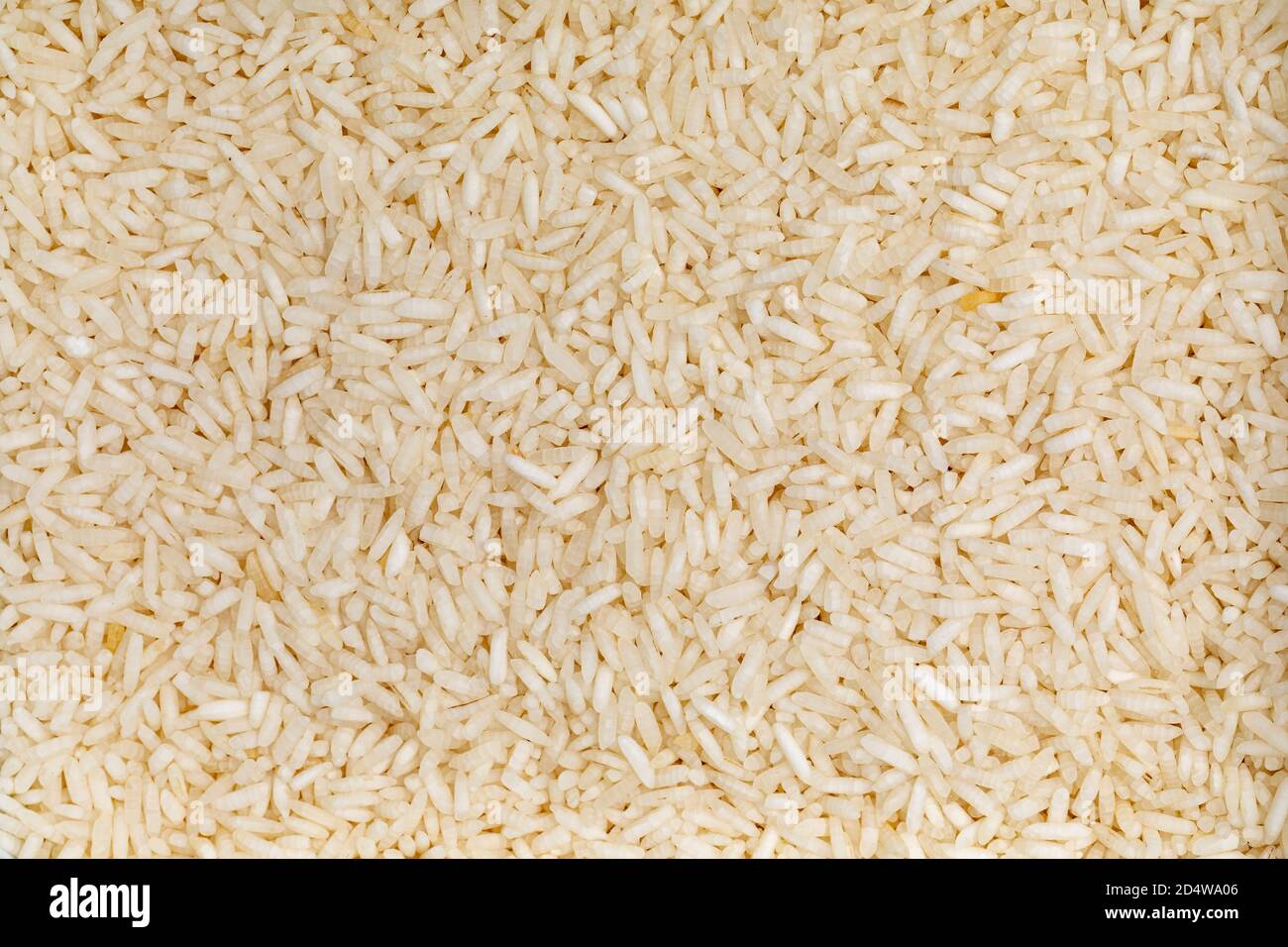 Top view full frame dry plain white rice Stock Photo - Alamy