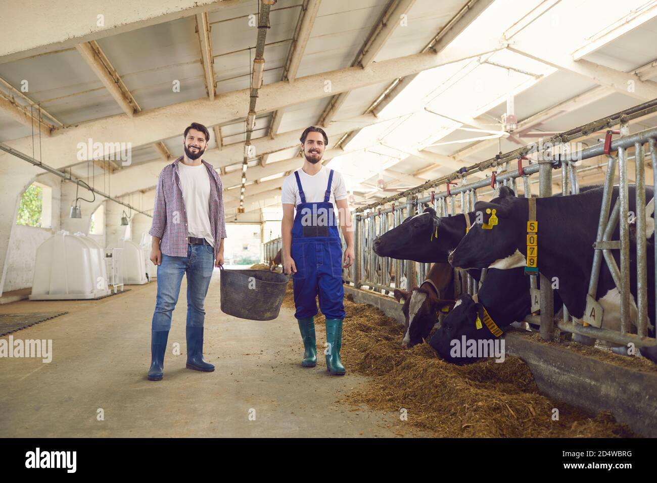 Smiling dairy farm workers standing and looking at camera after feeding ...
