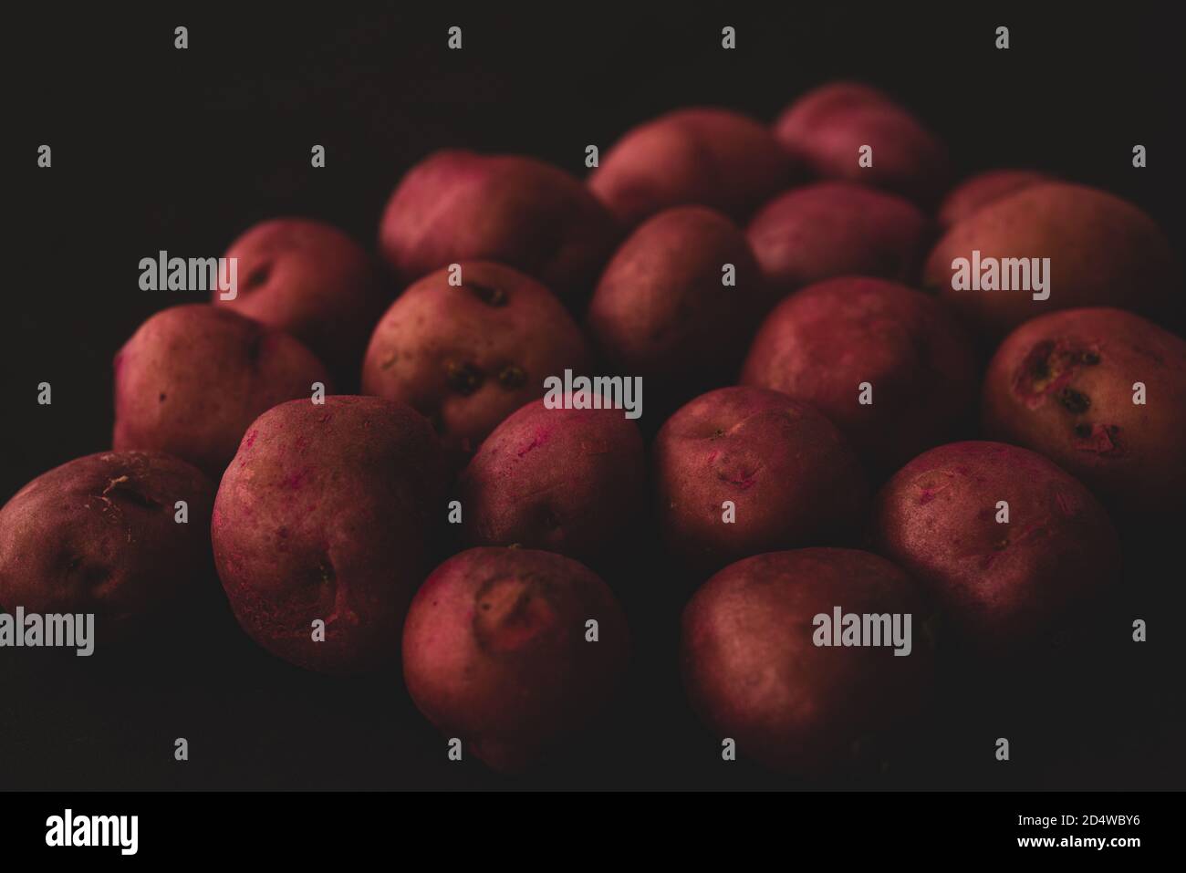 Cambray Pink potato Macro close up, selective focus Stock Photo - Alamy