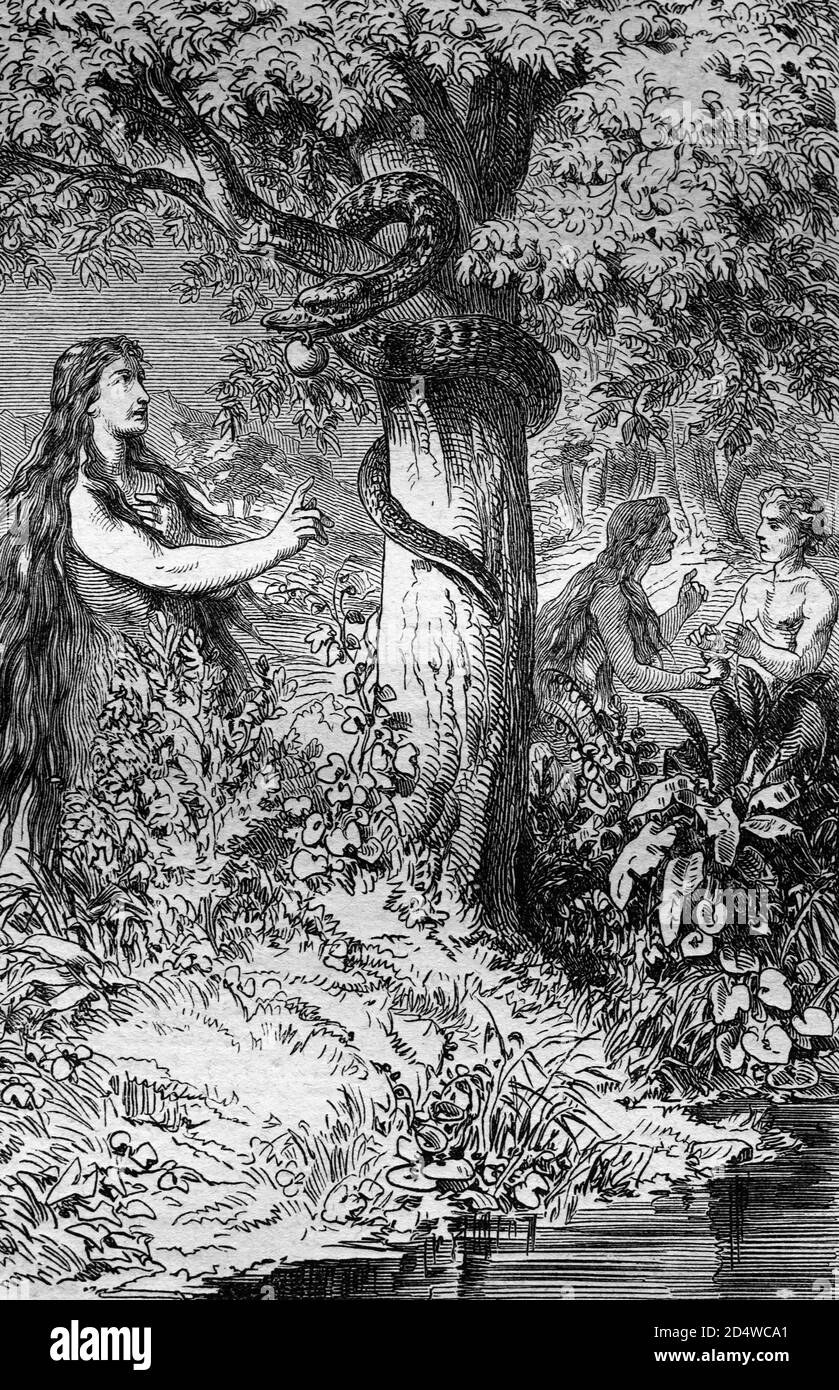 The Fall of Man, historical steel engraving from the year 1860 Stock ...