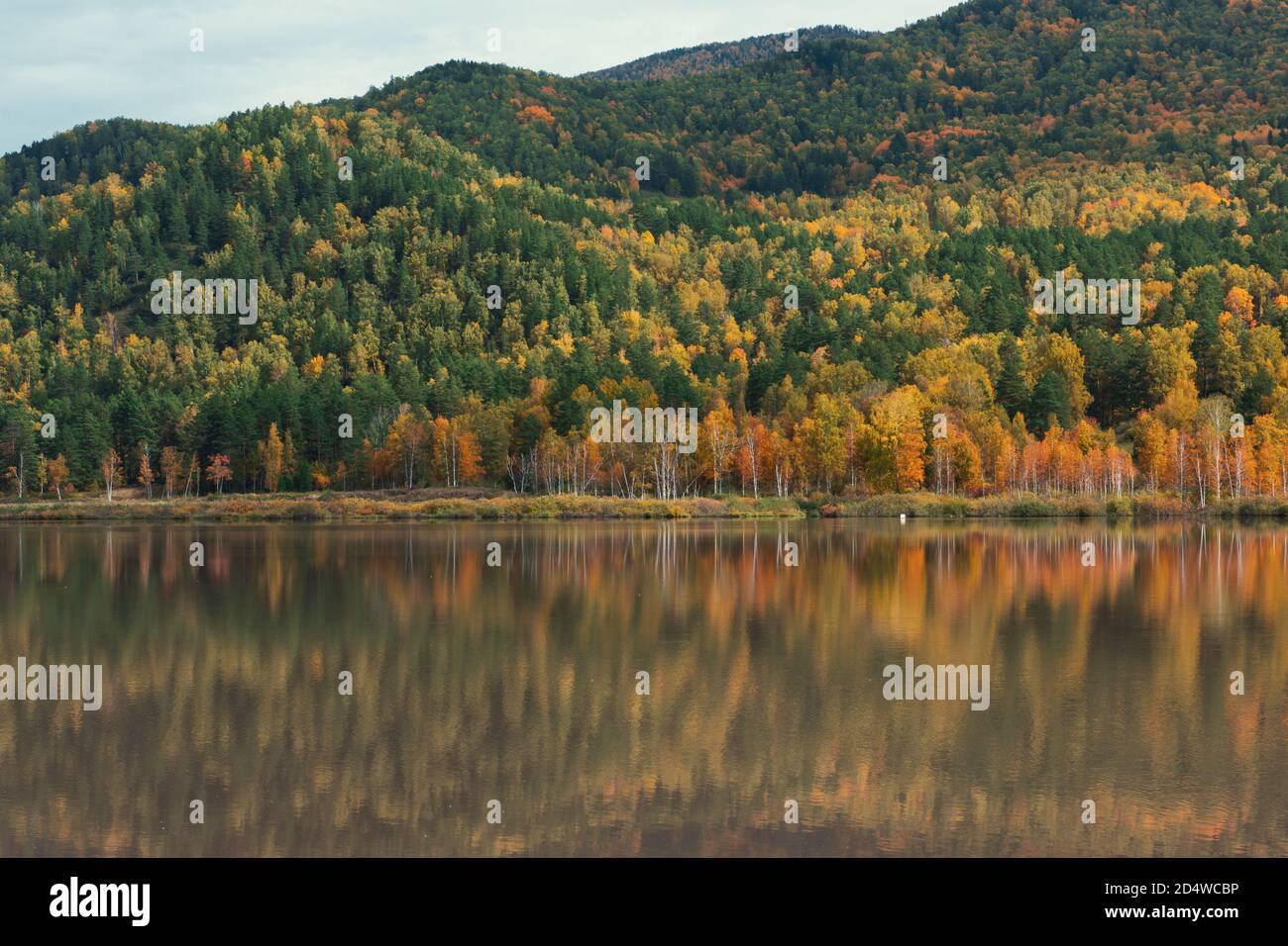 Autumn reflections lake Stock Photo - Alamy Autumn reflections lake Stock Photo - Alamy