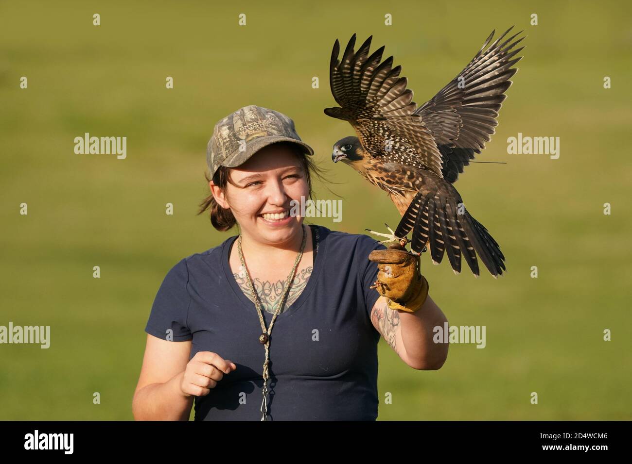 Young Couple teaching the sport of falconry Stock Photo - Alamy