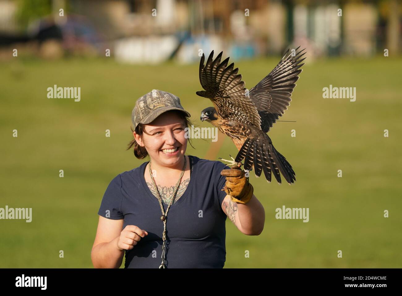 Young Couple teaching the sport of falconry Stock Photo - Alamy