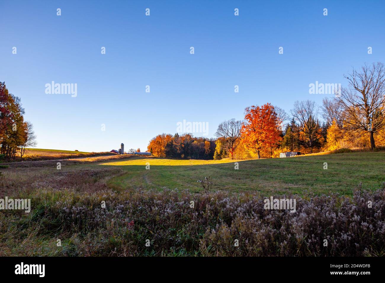October farmland farm hi-res stock photography and images - Alamy