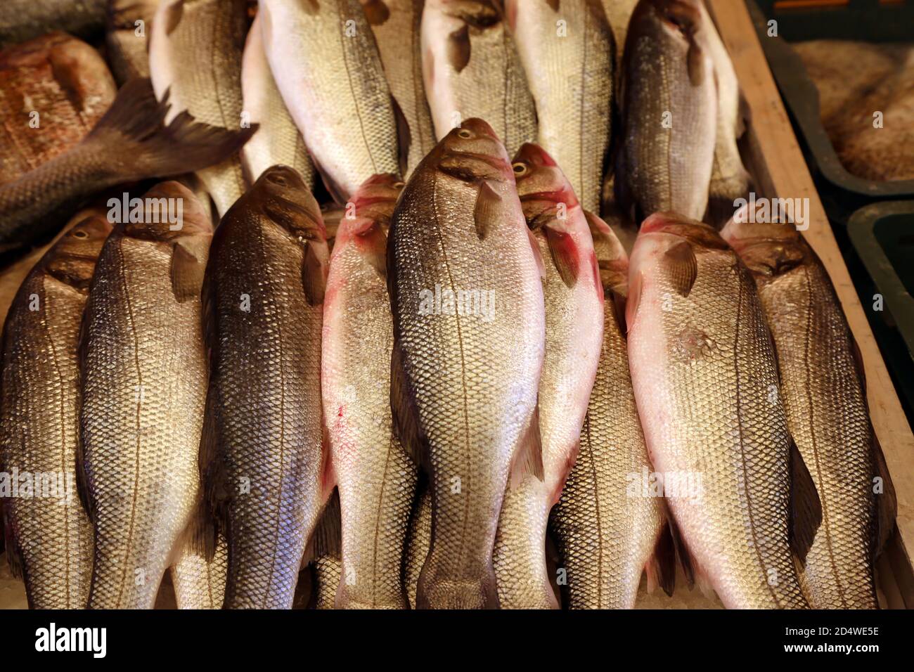 Closeup of a pile of fresh fishes in a fish market Stock Photo - Alamy