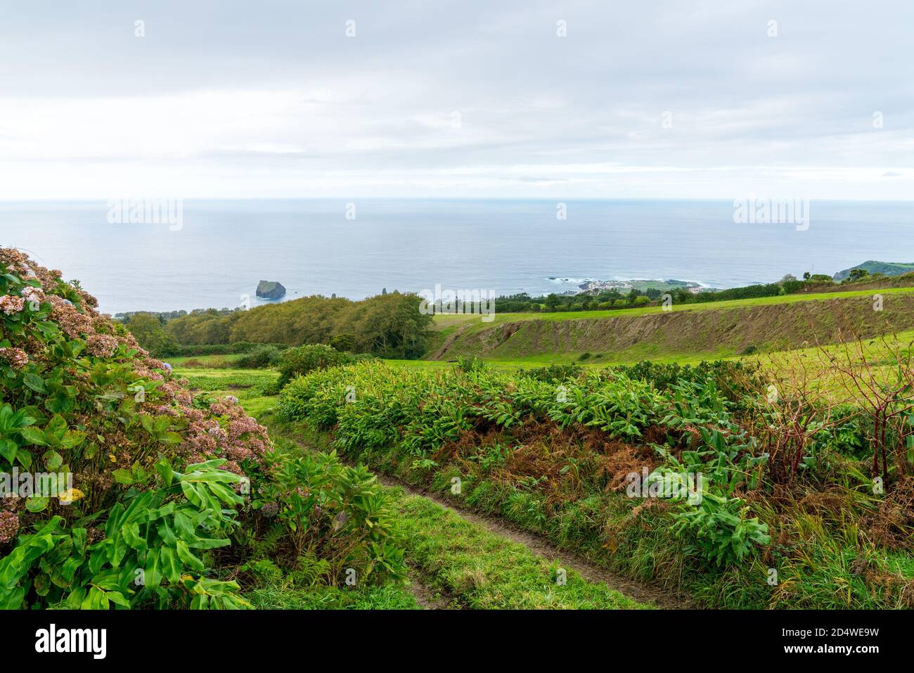 Beautiful hilly landscape near the sea in the Azores archipelago ...