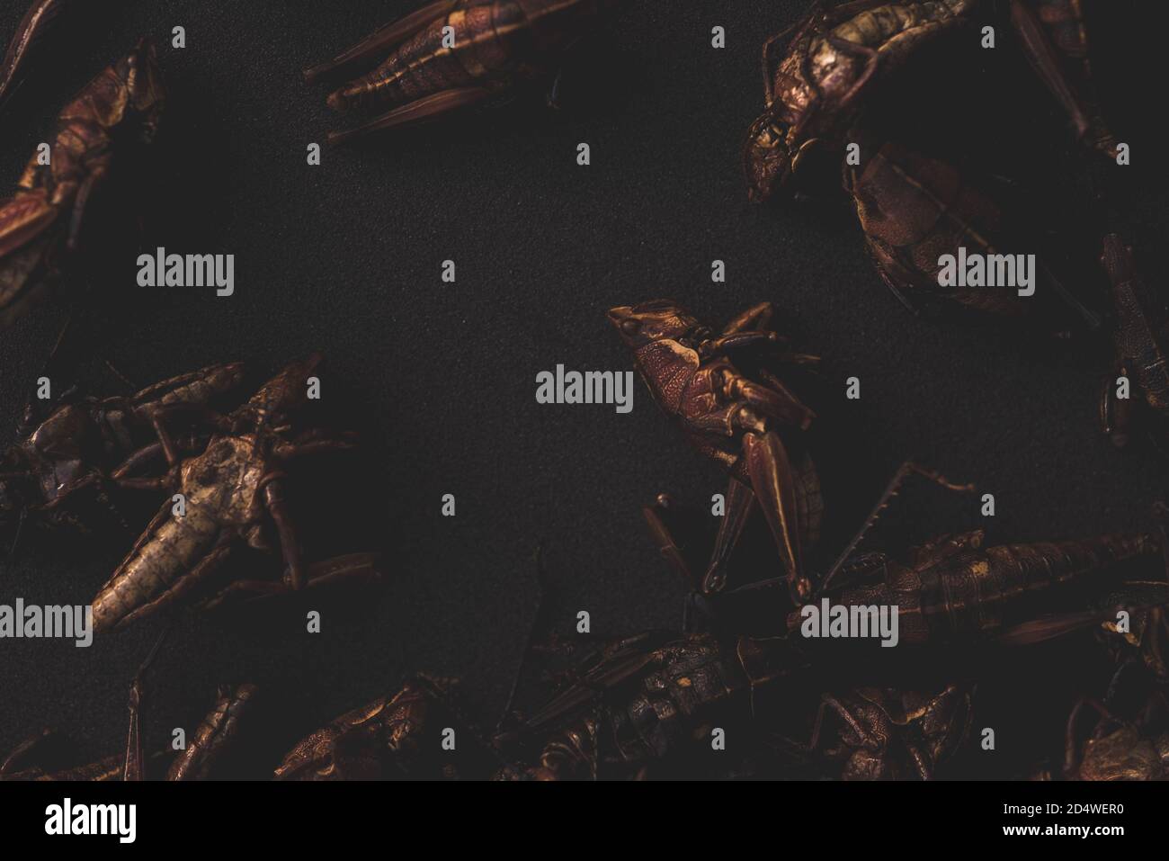 Chapulines, Mexican grasshopper, traditional snack macro close up ...