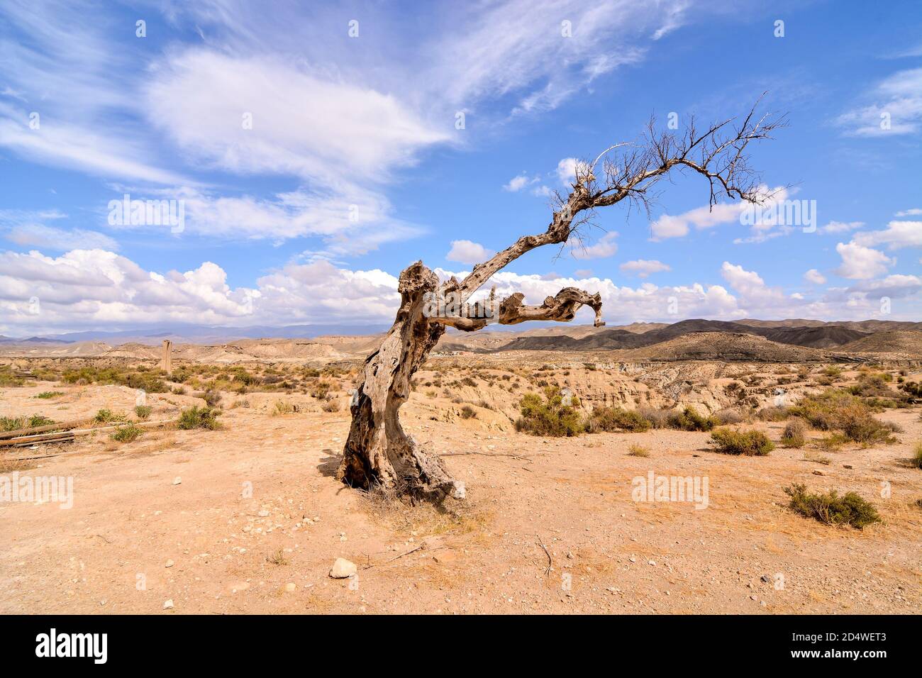 Dry Desert Landscape Stock Photo - Alamy