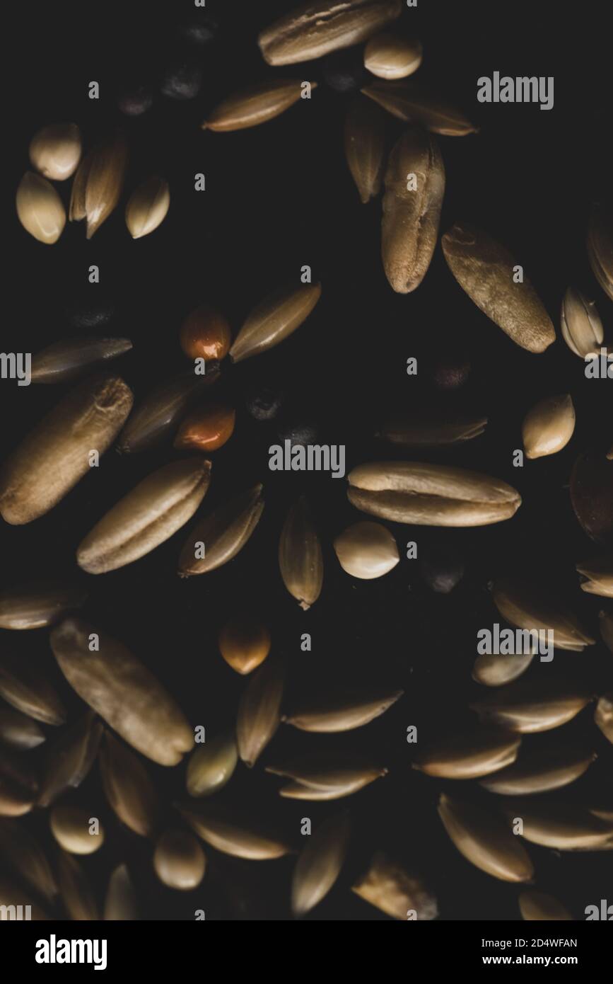 Mixed seeds pile isolated sunflower hi-res stock photography and images ...