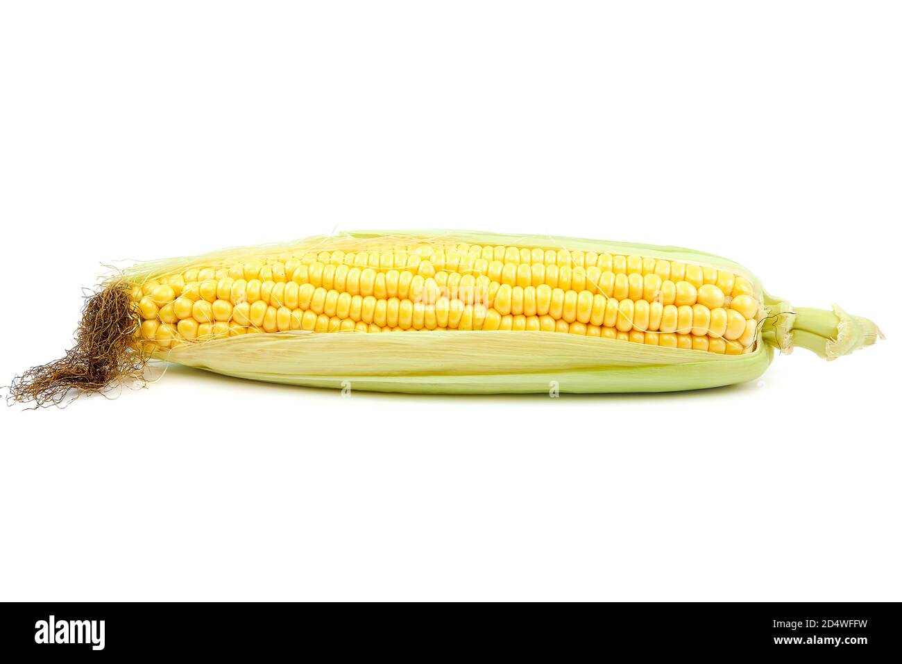 Sweet corn isolated on white background Stock Photo - Alamy