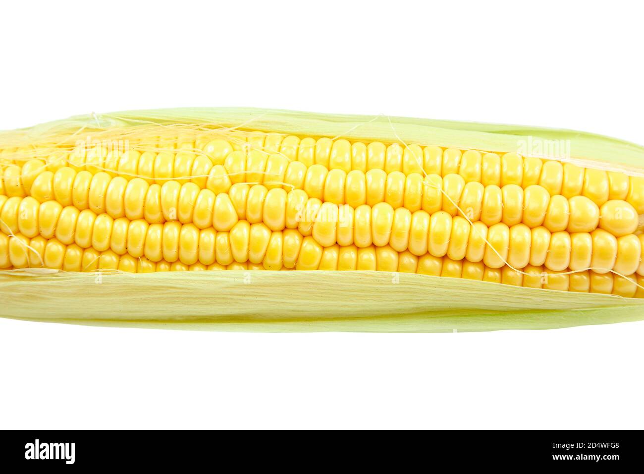 Sweet corn isolated on white background Stock Photo - Alamy