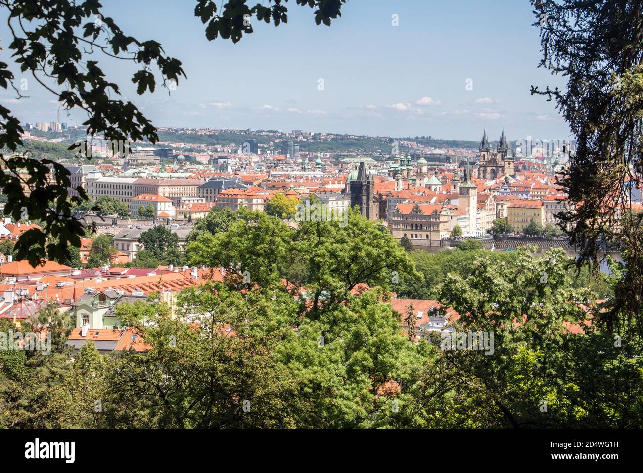 Prague old town sunny panorama view old town natural tree frame Stock ...