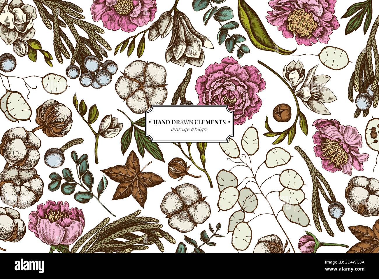 Ficus elastica natural plant Stock Vector Images - Alamy