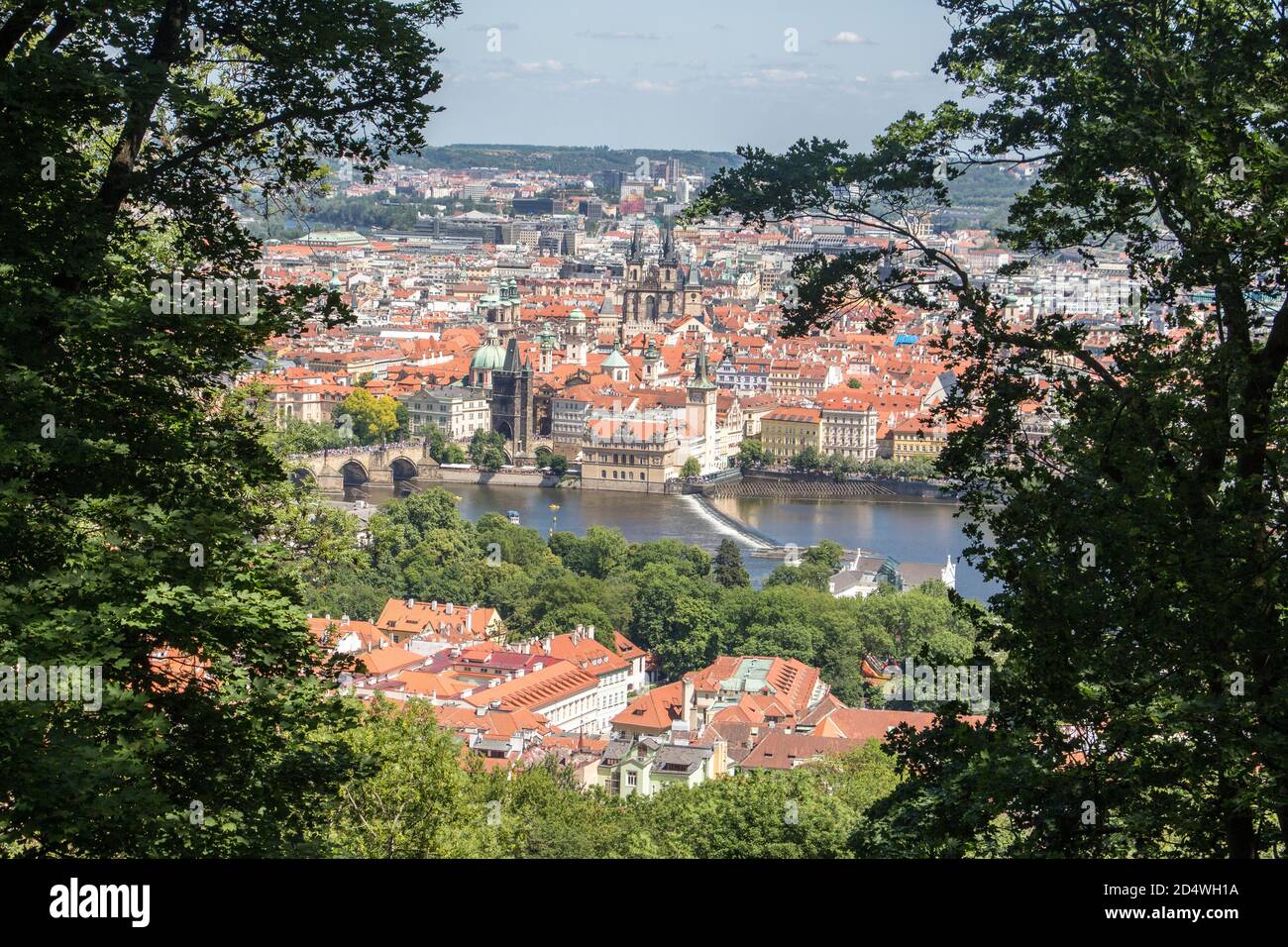 Prague old town sunny panorama view old town natural tree frame Stock ...