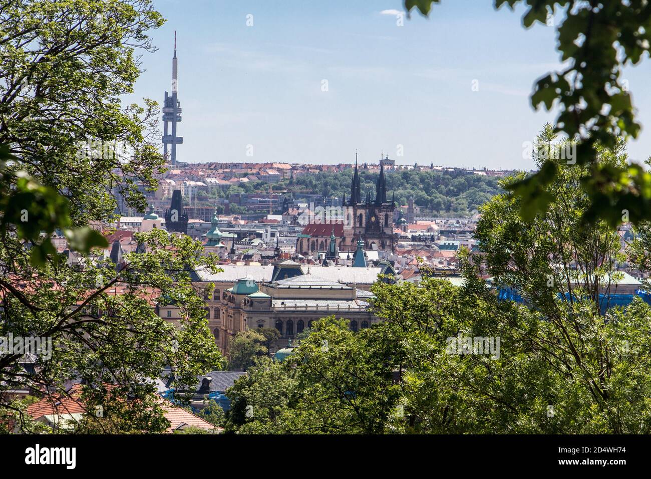 Prague old town sunny panorama view old town natural tree frame Stock ...