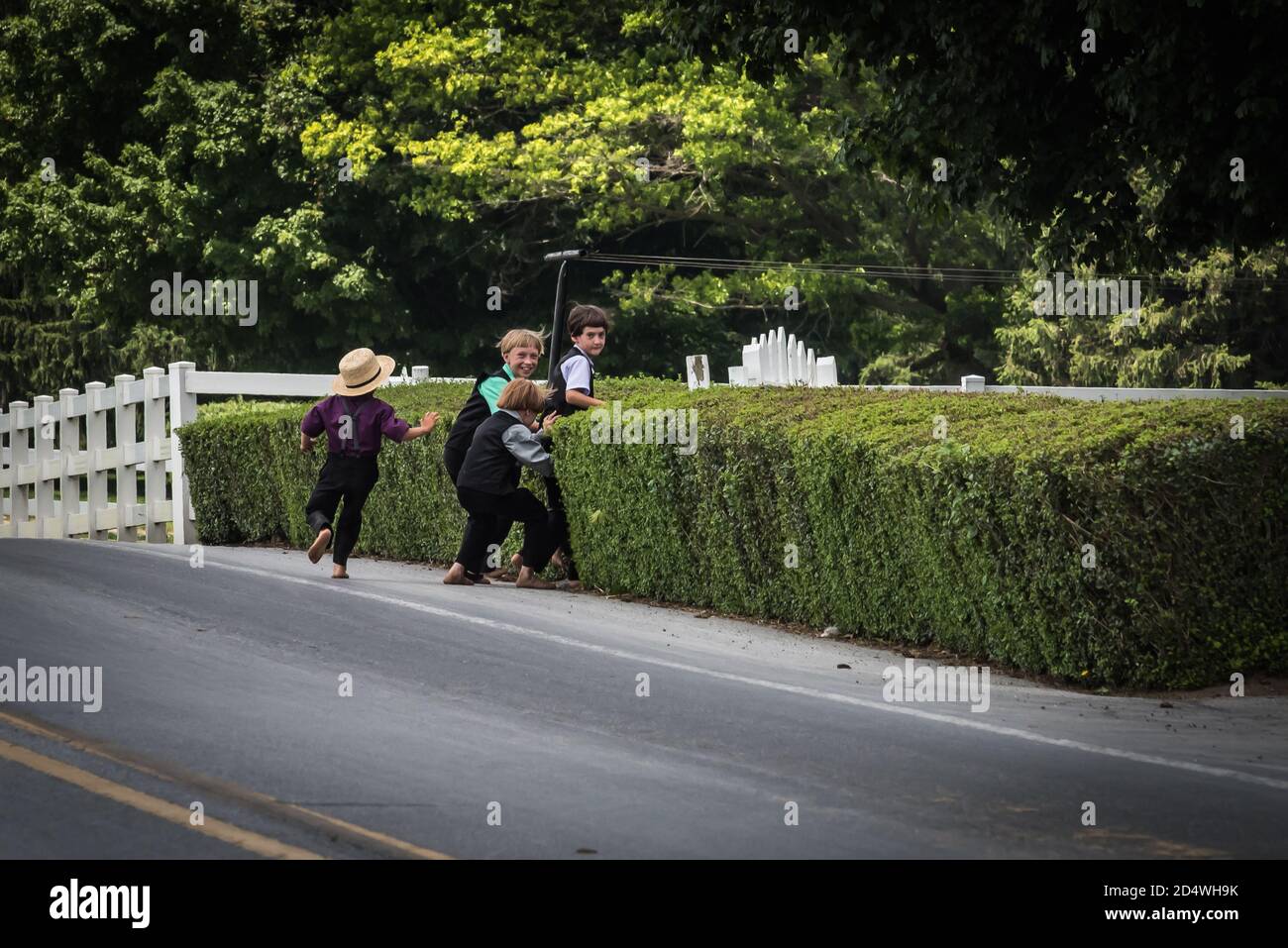 Amish farmer cutting hi-res stock photography and images - Alamy