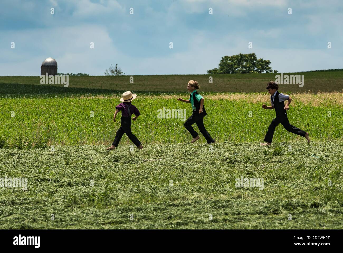Pa usa farmer pulling his harvest hi-res stock photography and images ...