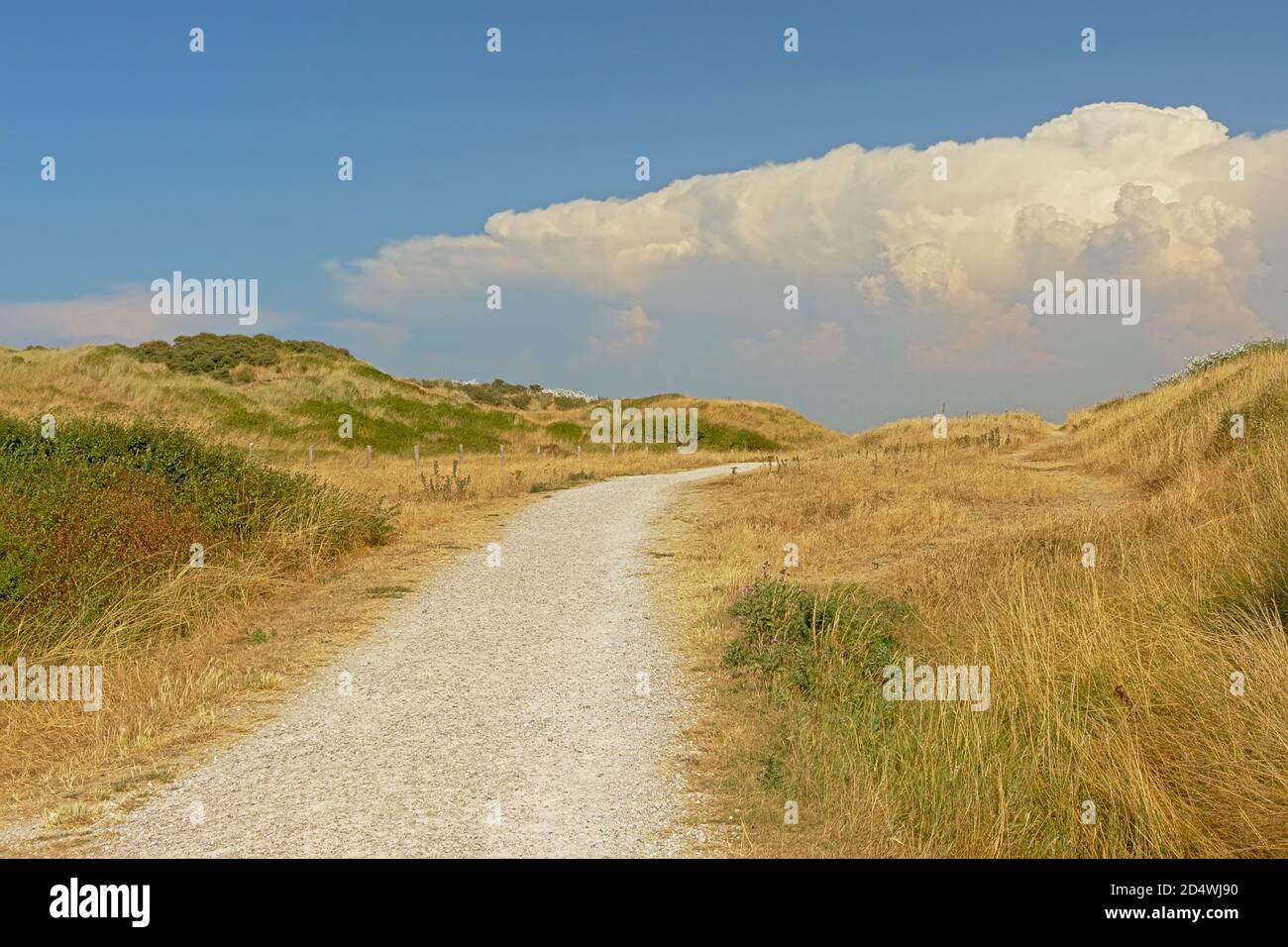 Path through the dunes along the Opal North Sea coast, Nord pas de ...