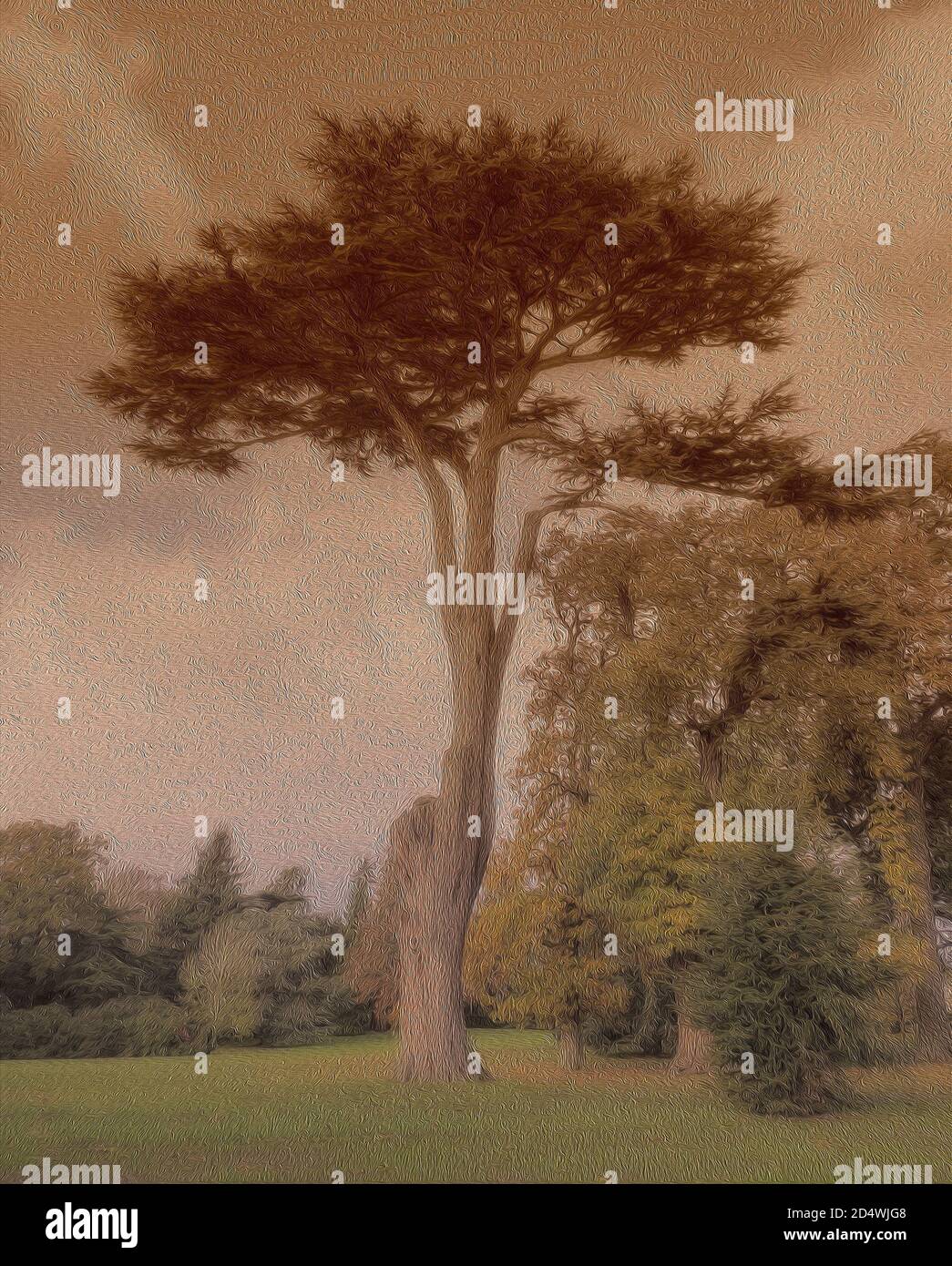 Tall tree painting Stock Photo - Alamy