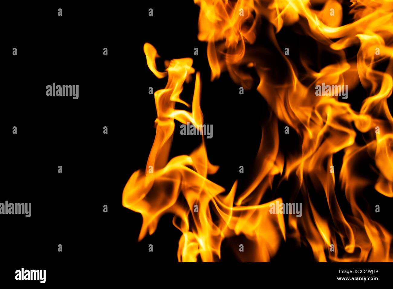Fire flames on black background isolated. Burning gas or gasoline burns ...
