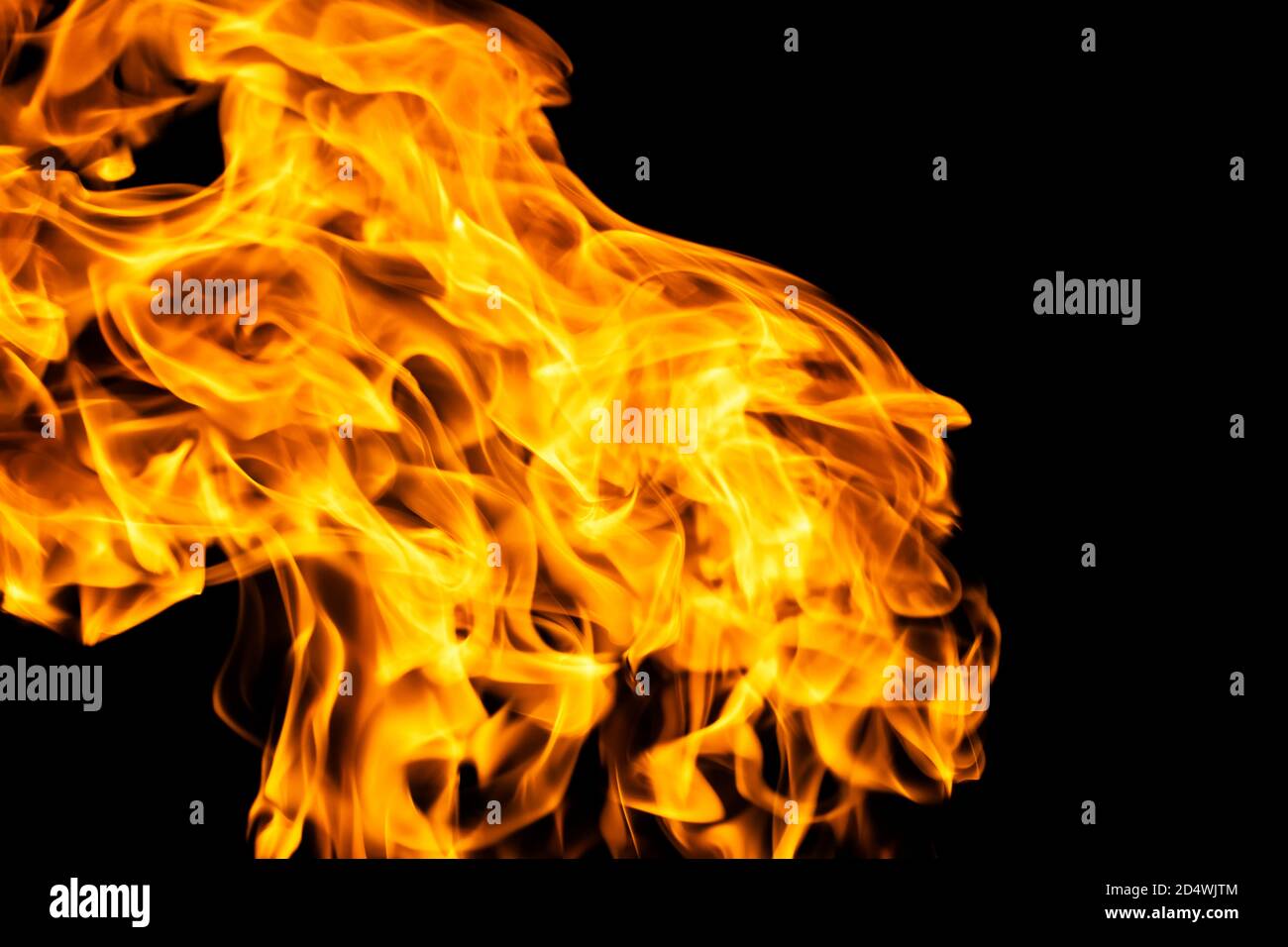 Fire flames on black background isolated. Burning gas or gasoline burns ...