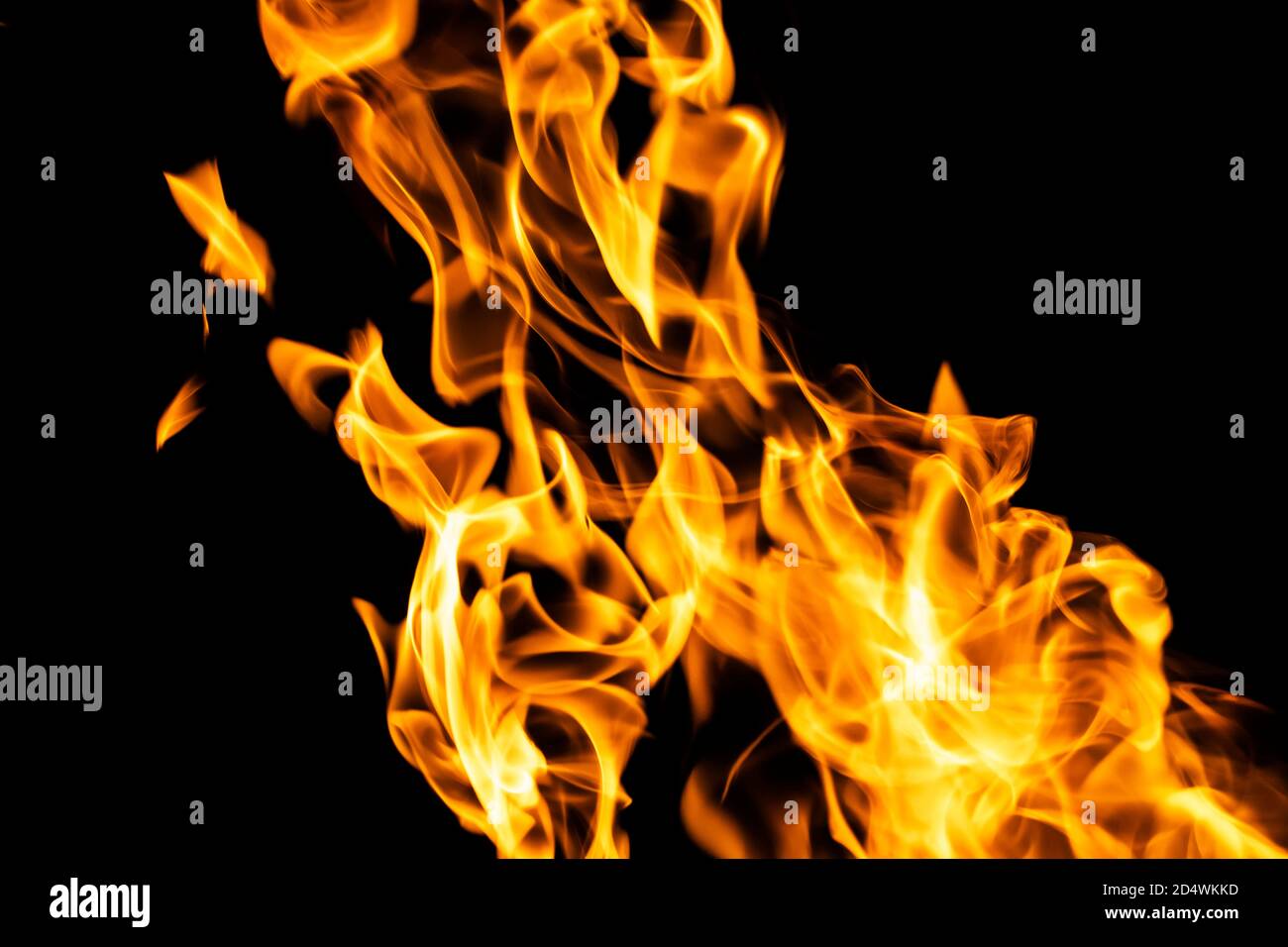 Fire flames on black background isolated. Burning gas or gasoline burns ...