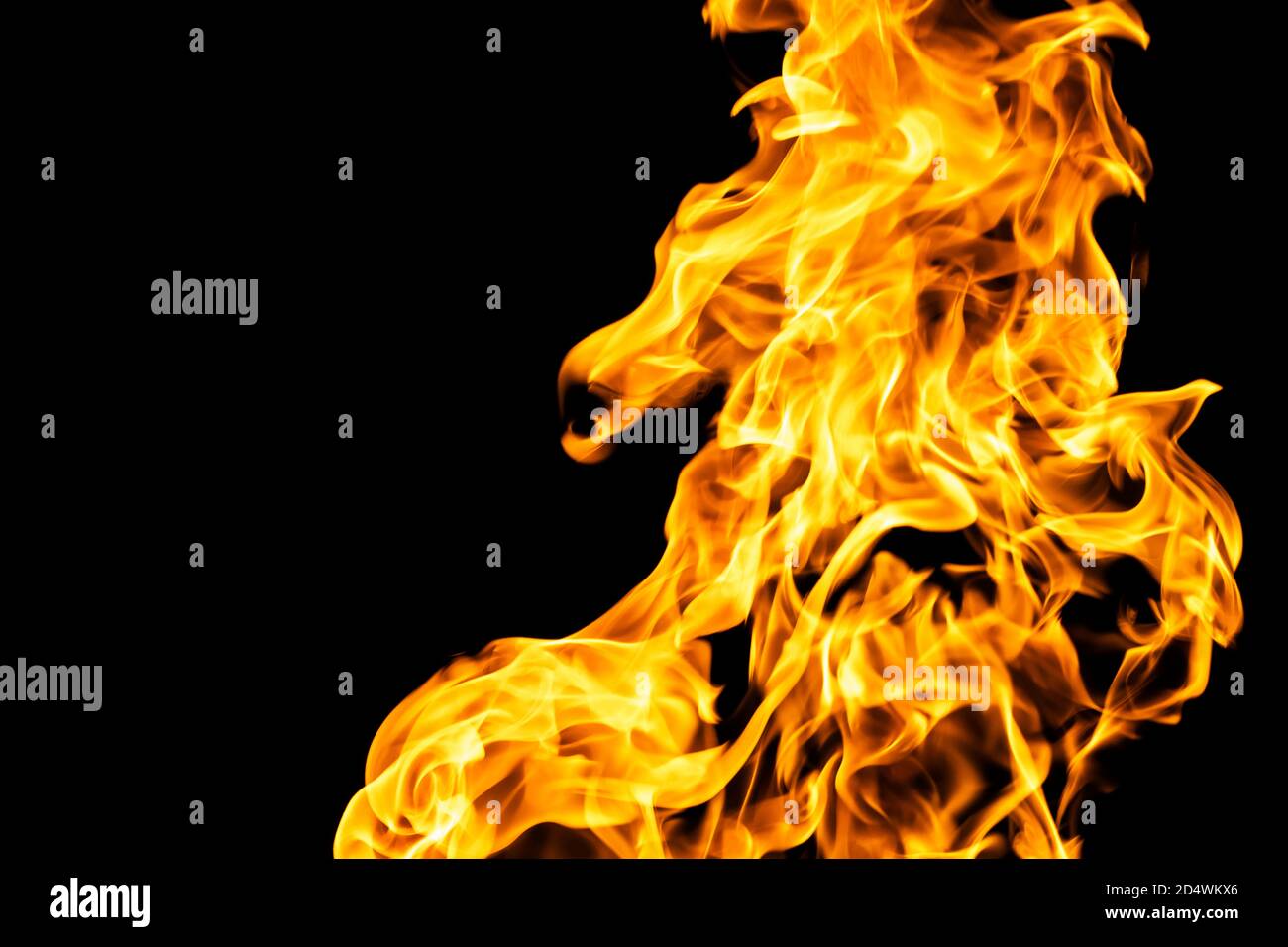 Fire flames on black background isolated. Burning gas or gasoline burns ...