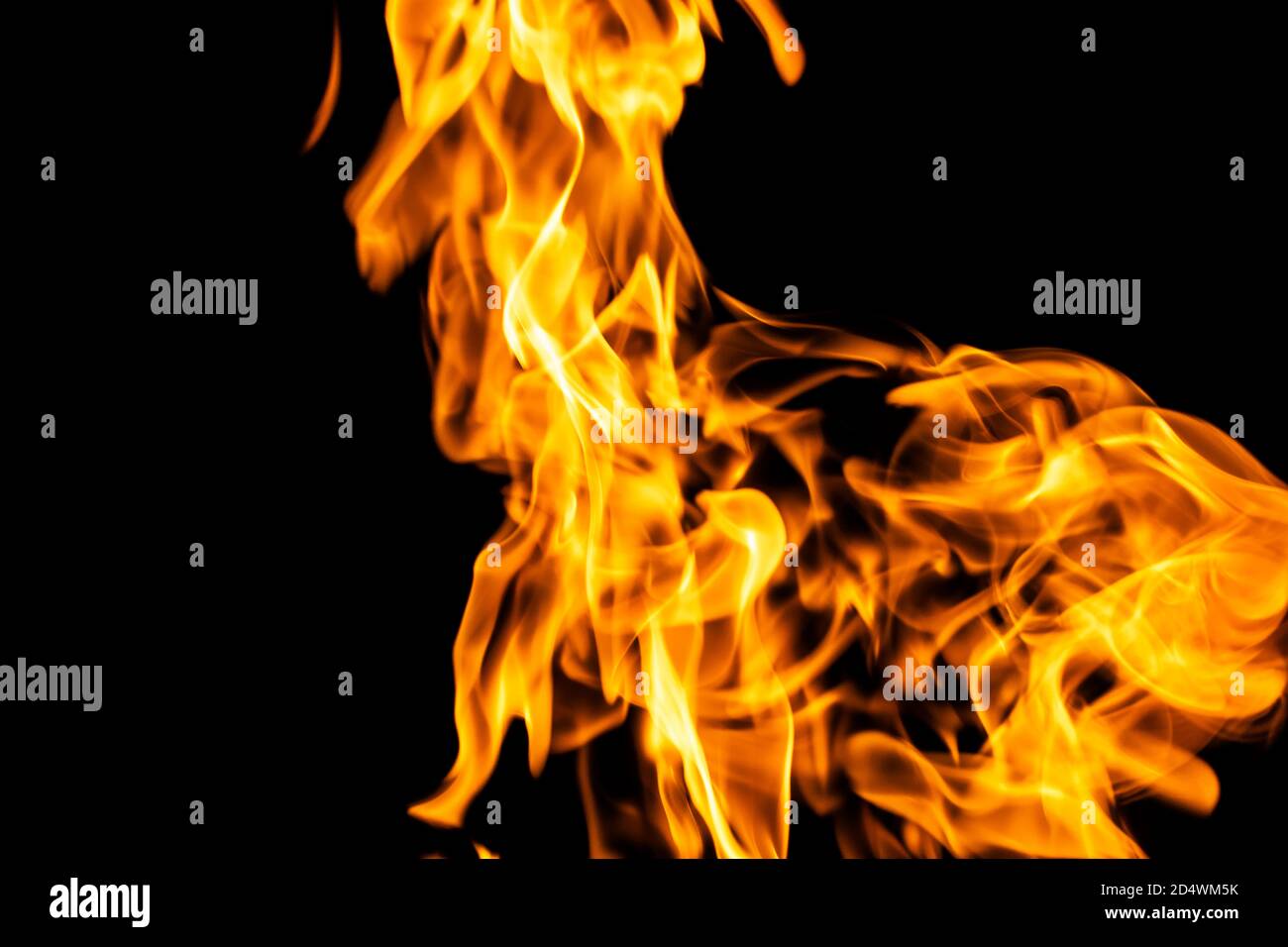 Fire flames on black background isolated. Burning gas or gasoline burns ...