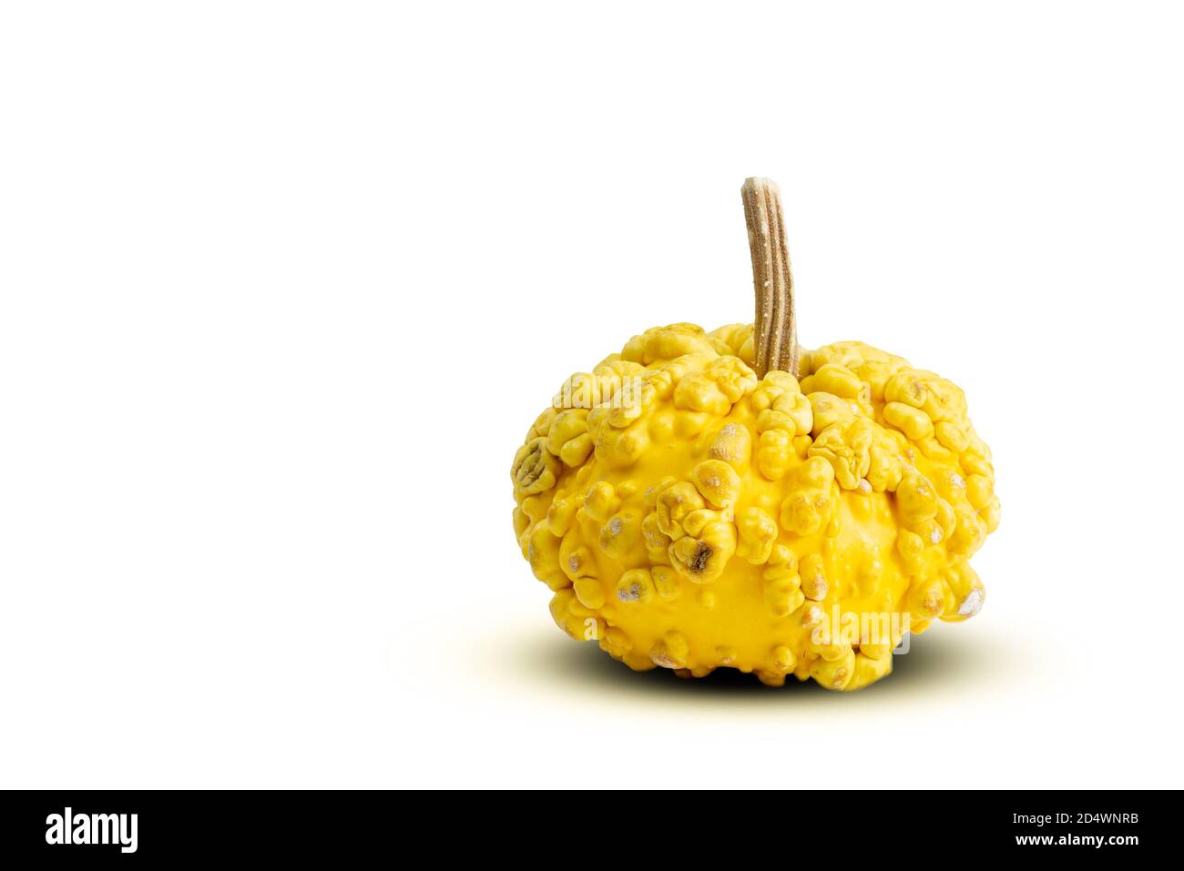 Bumpy squash hi-res stock photography and images - Alamy